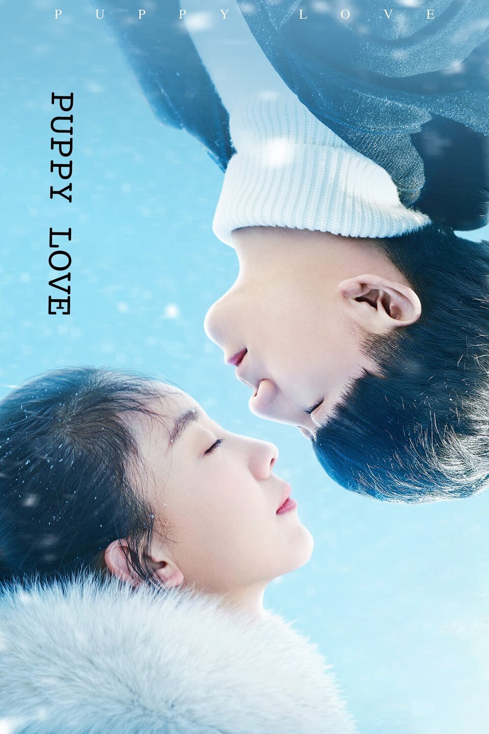 Puppy Love - Rotten Tomatoes