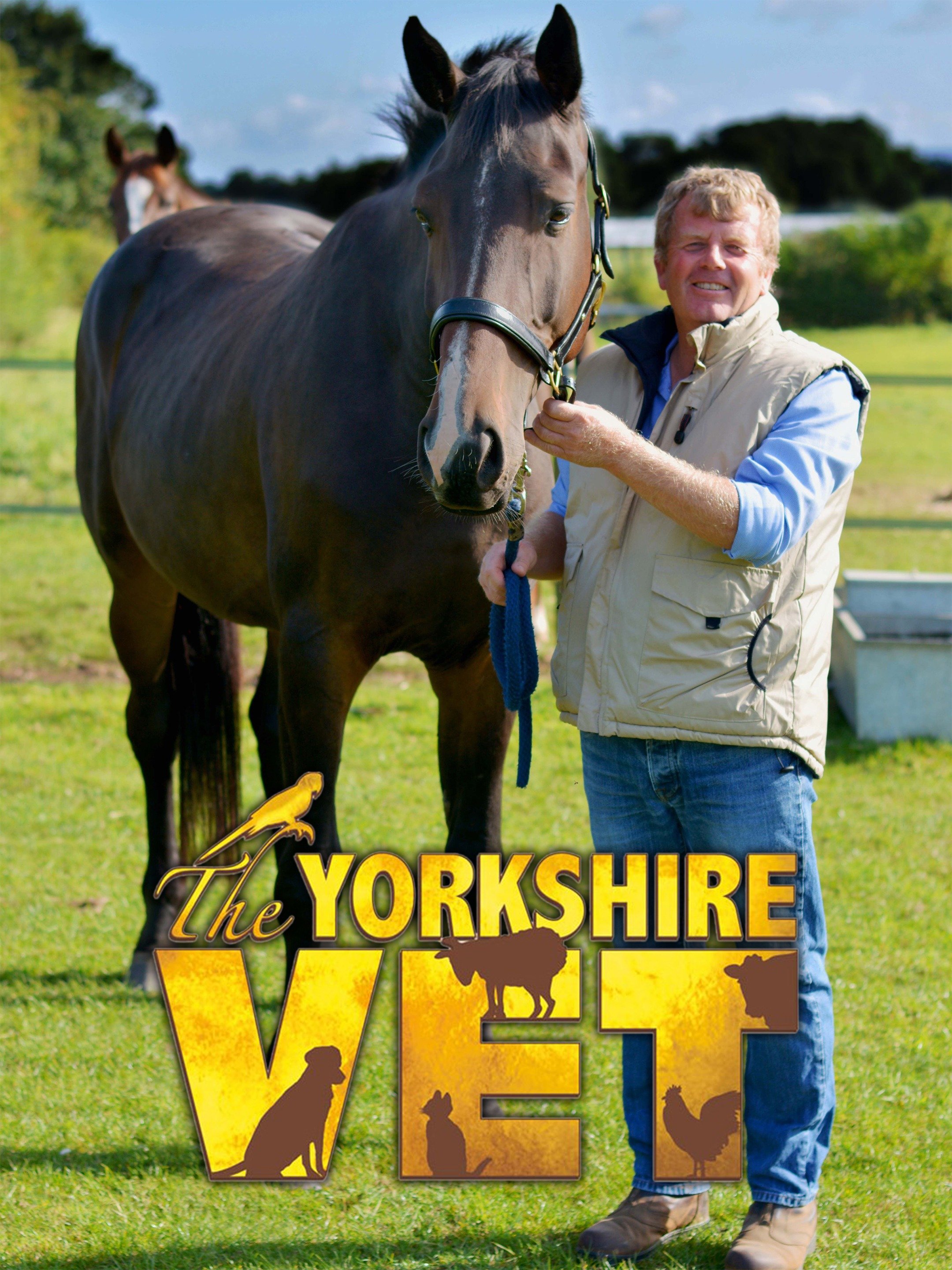 The Yorkshire Vet - Rotten Tomatoes