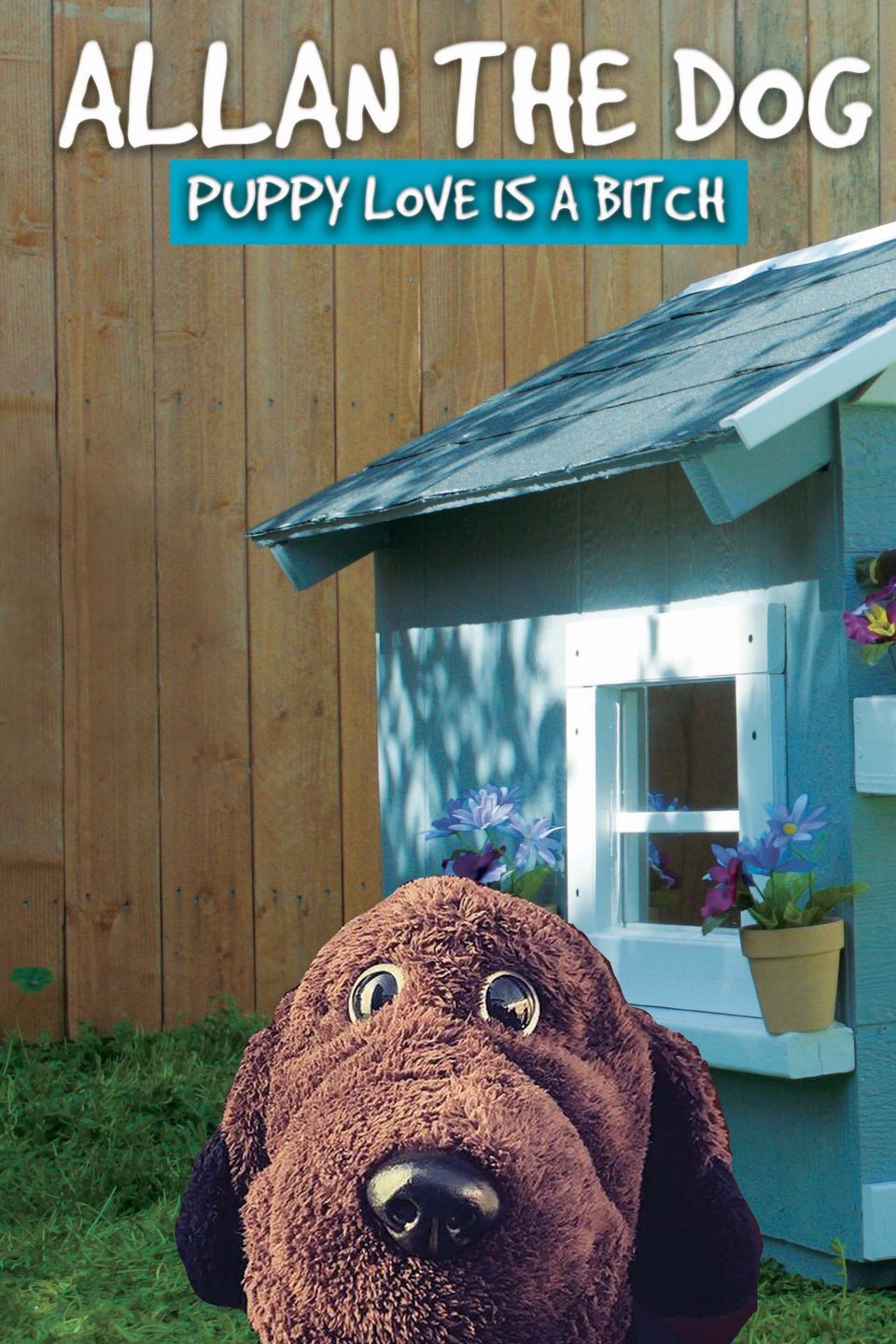 Allan the Dog - Rotten Tomatoes