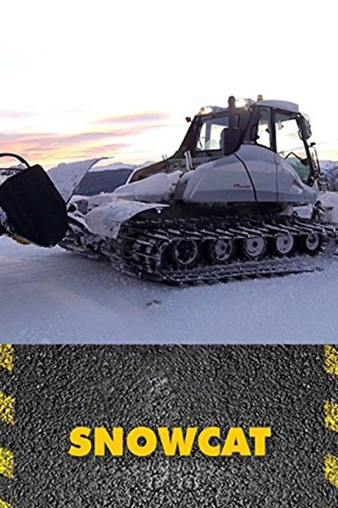 Snow Cat - Rotten Tomatoes