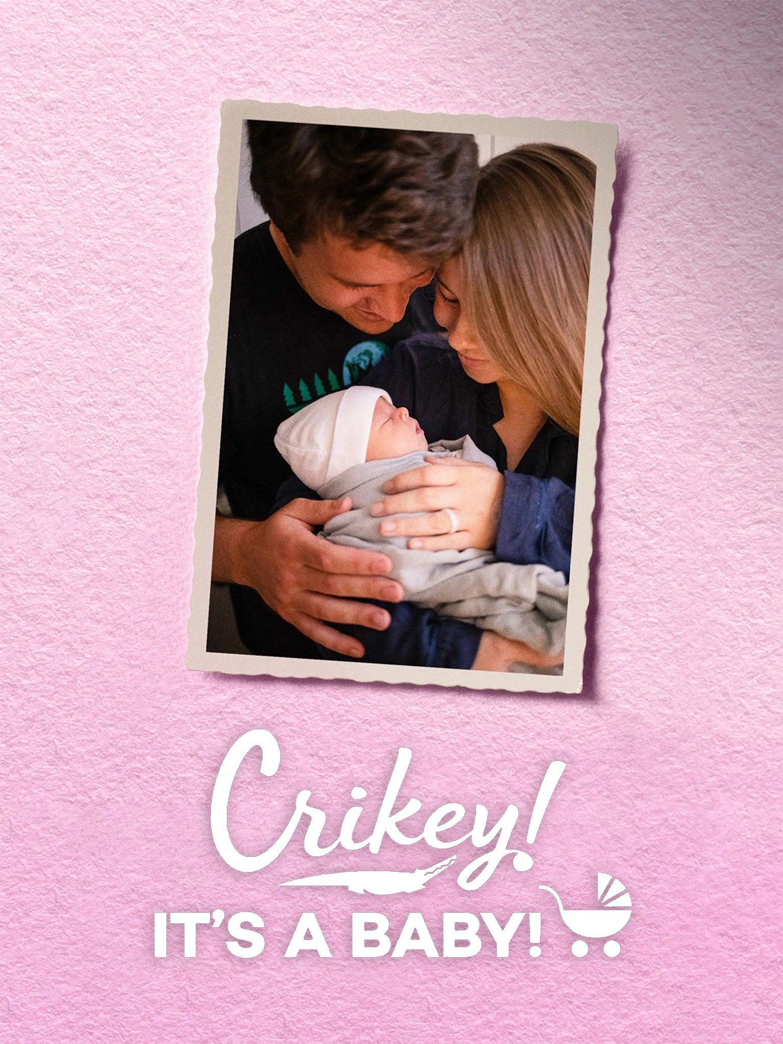 Big Time Bake - Rotten Tomatoes