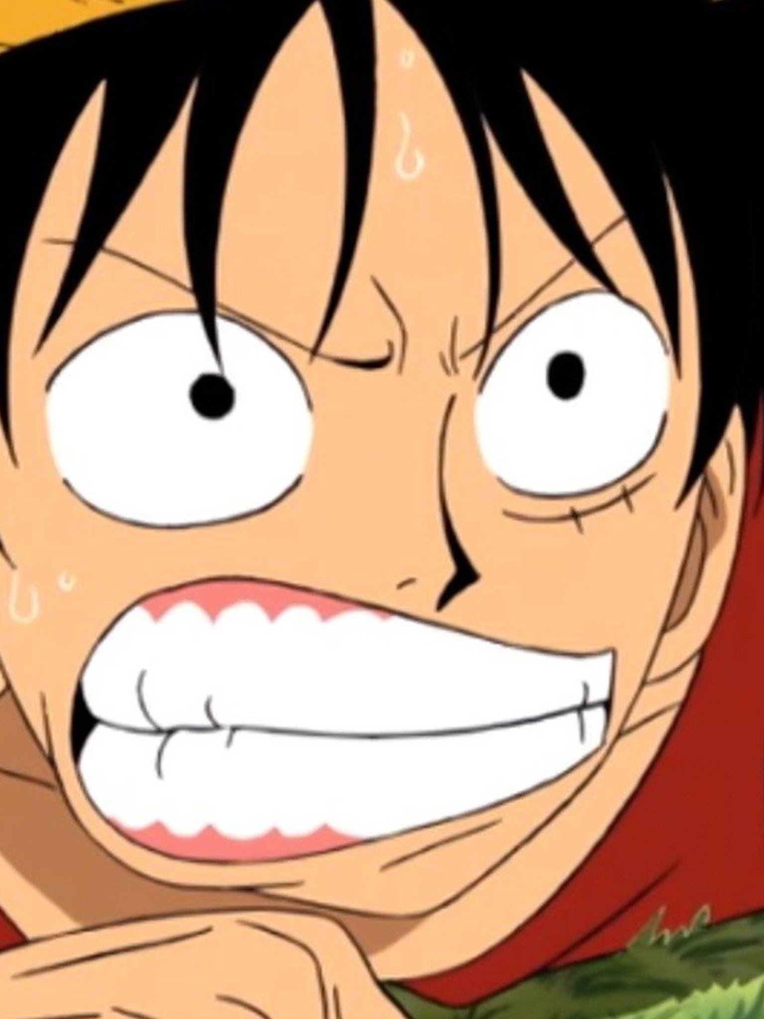 Broggy's Bitter Tears of Victory!; The Conclusion of Elbaf! Pictures ...