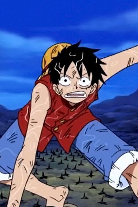 Luffy vs. Usopp! Collision of Two Men's Pride! Pictures - Rotten Tomatoes