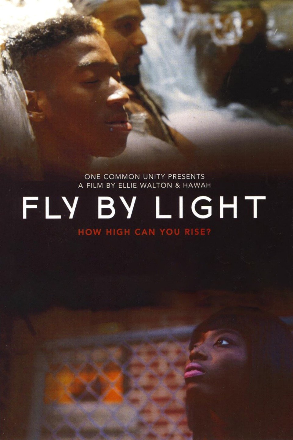 Fly by Light Pictures - Rotten Tomatoes