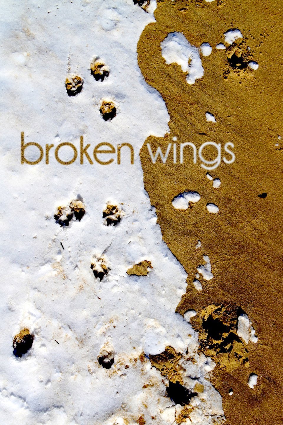 Broken Wings - Rotten Tomatoes