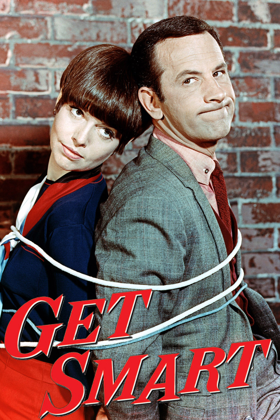 Get Smart Movie Agent 99