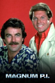 Magnum P I Rotten Tomatoes Magnum P I Rotten Tomatoes