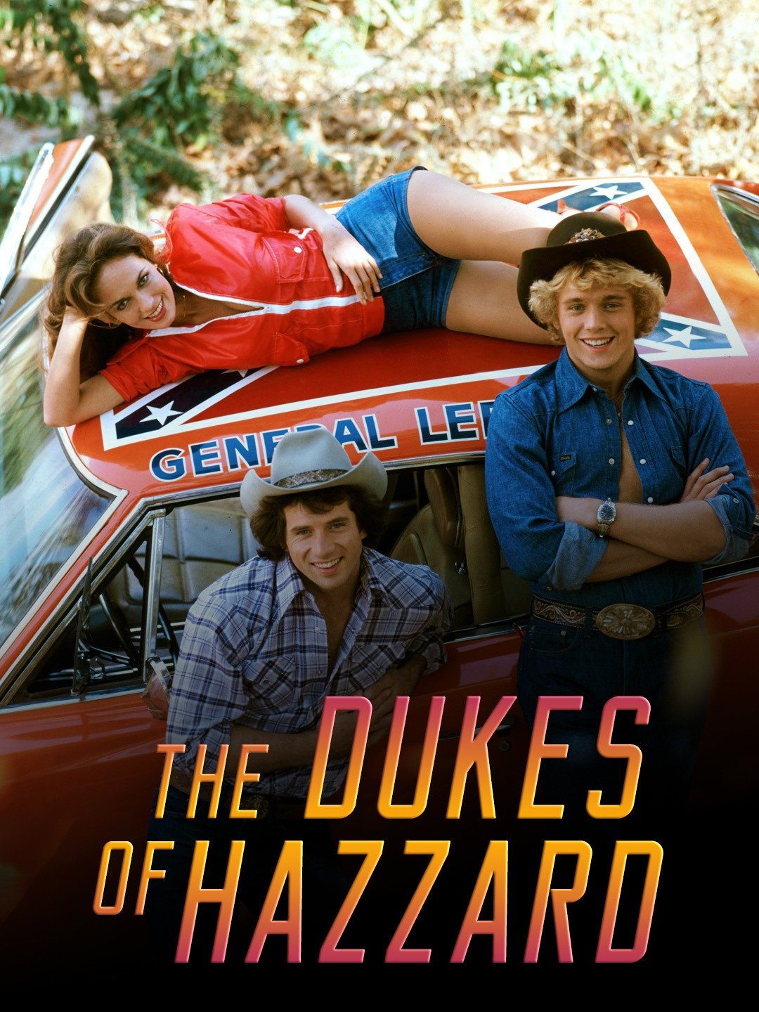 Daisy Duke Poster 1980