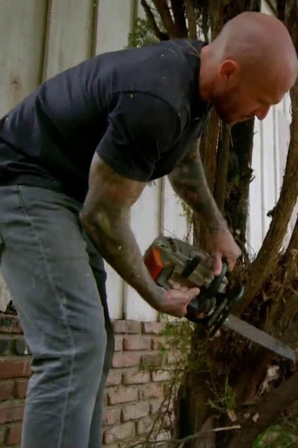 Flecking Awesome Pictures - Rotten Tomatoes