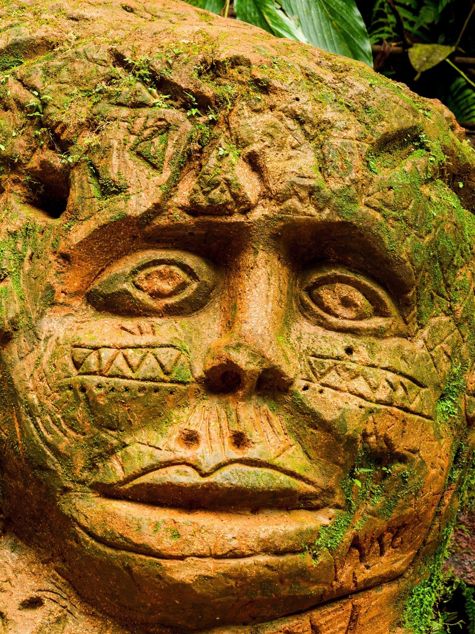 Huge lost Ancient city found in the Amazon – Crickey Amigu di Natura