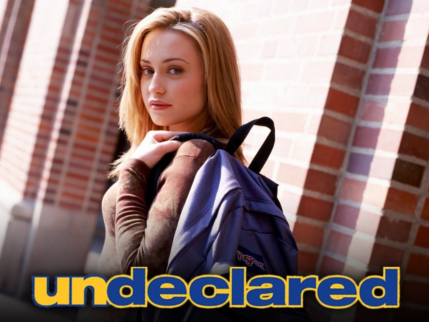 Undeclared Poster
