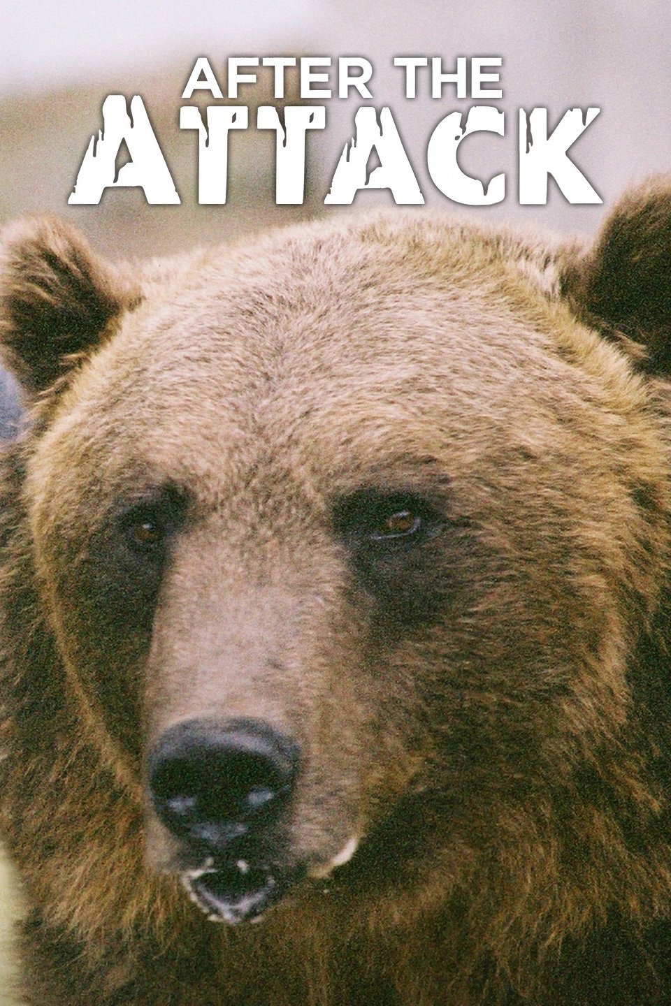 After the Attack - Rotten Tomatoes