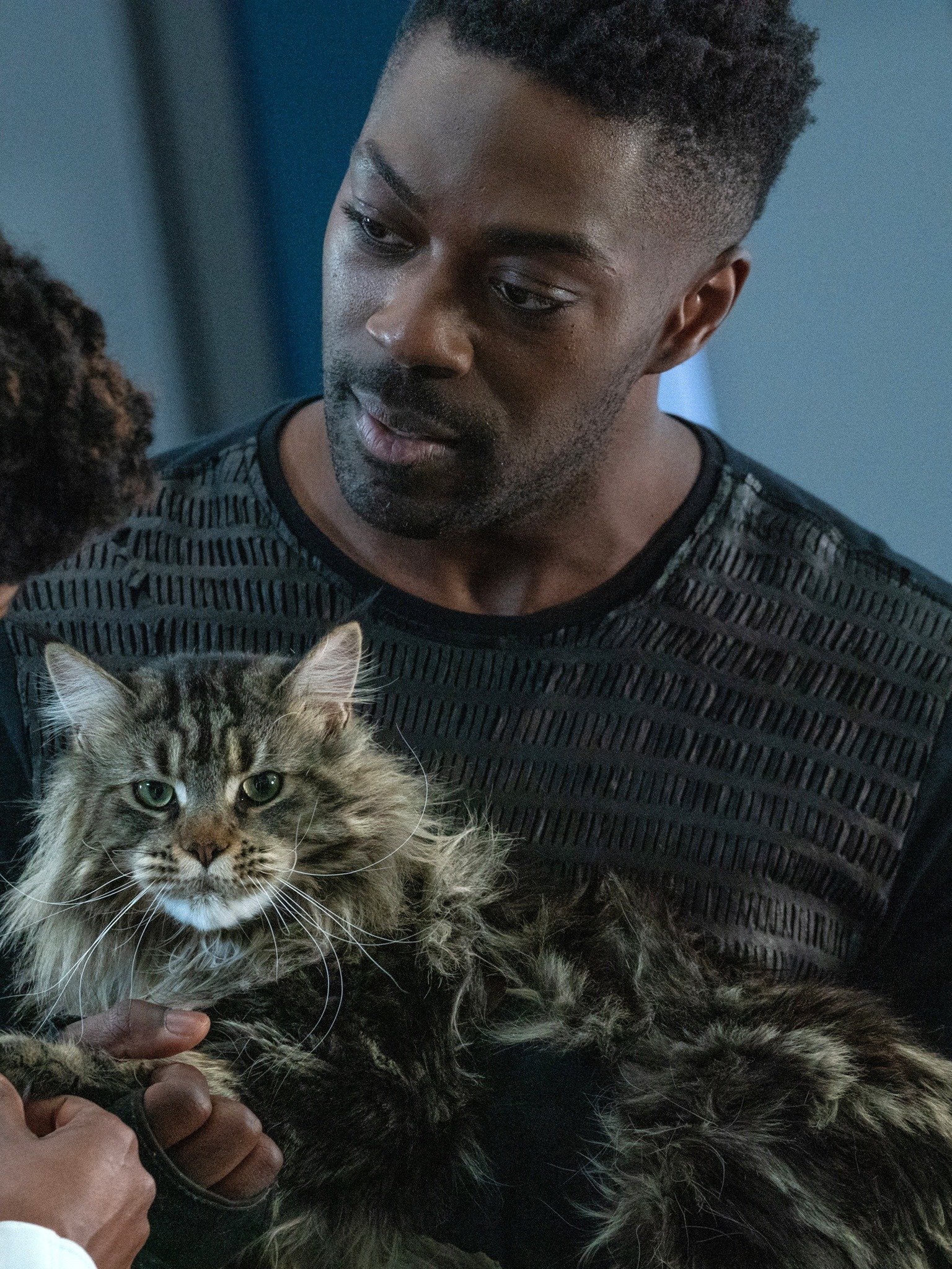 Su'Kal Pictures - Rotten Tomatoes