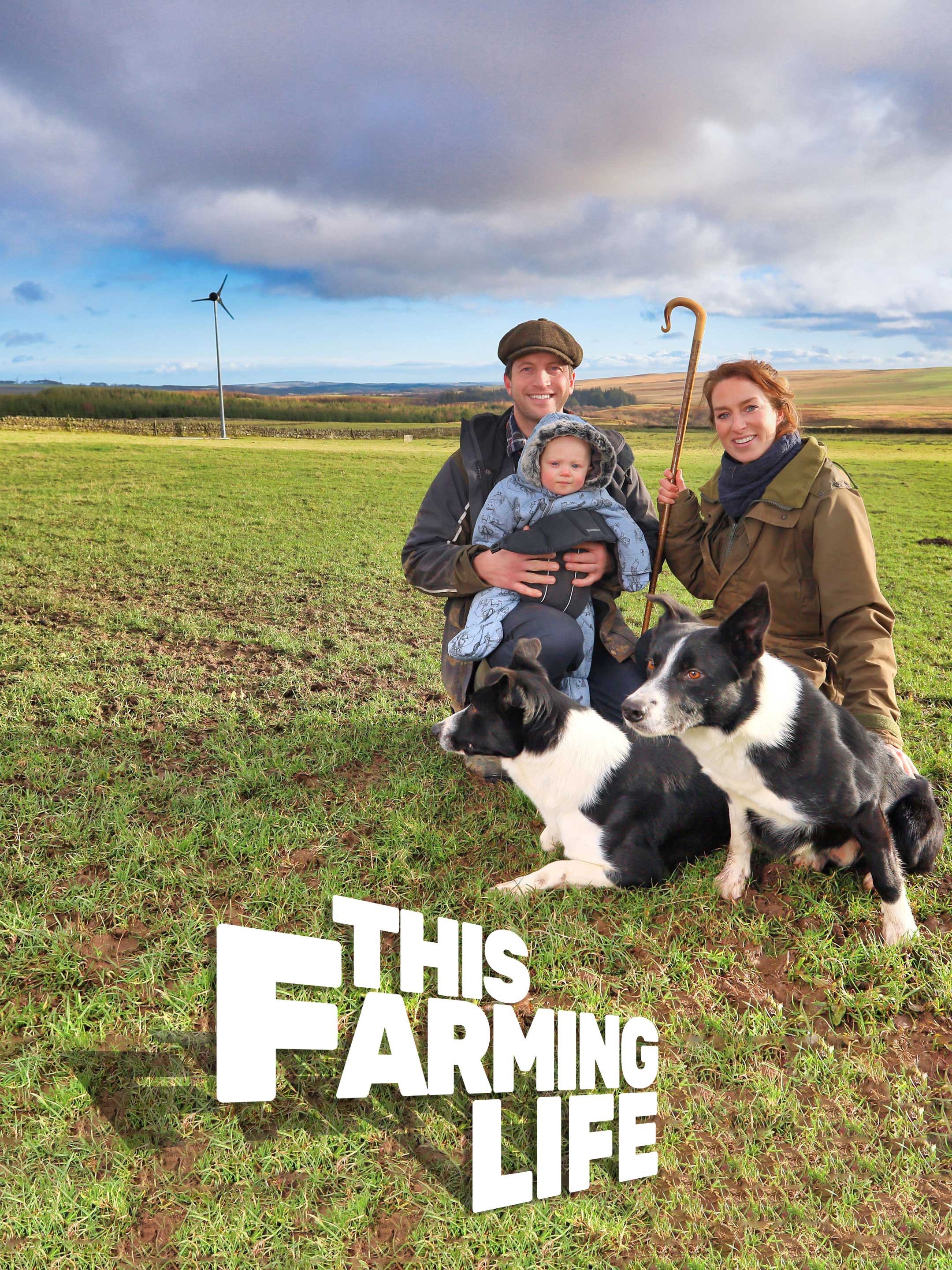 This Farming Life - Rotten Tomatoes