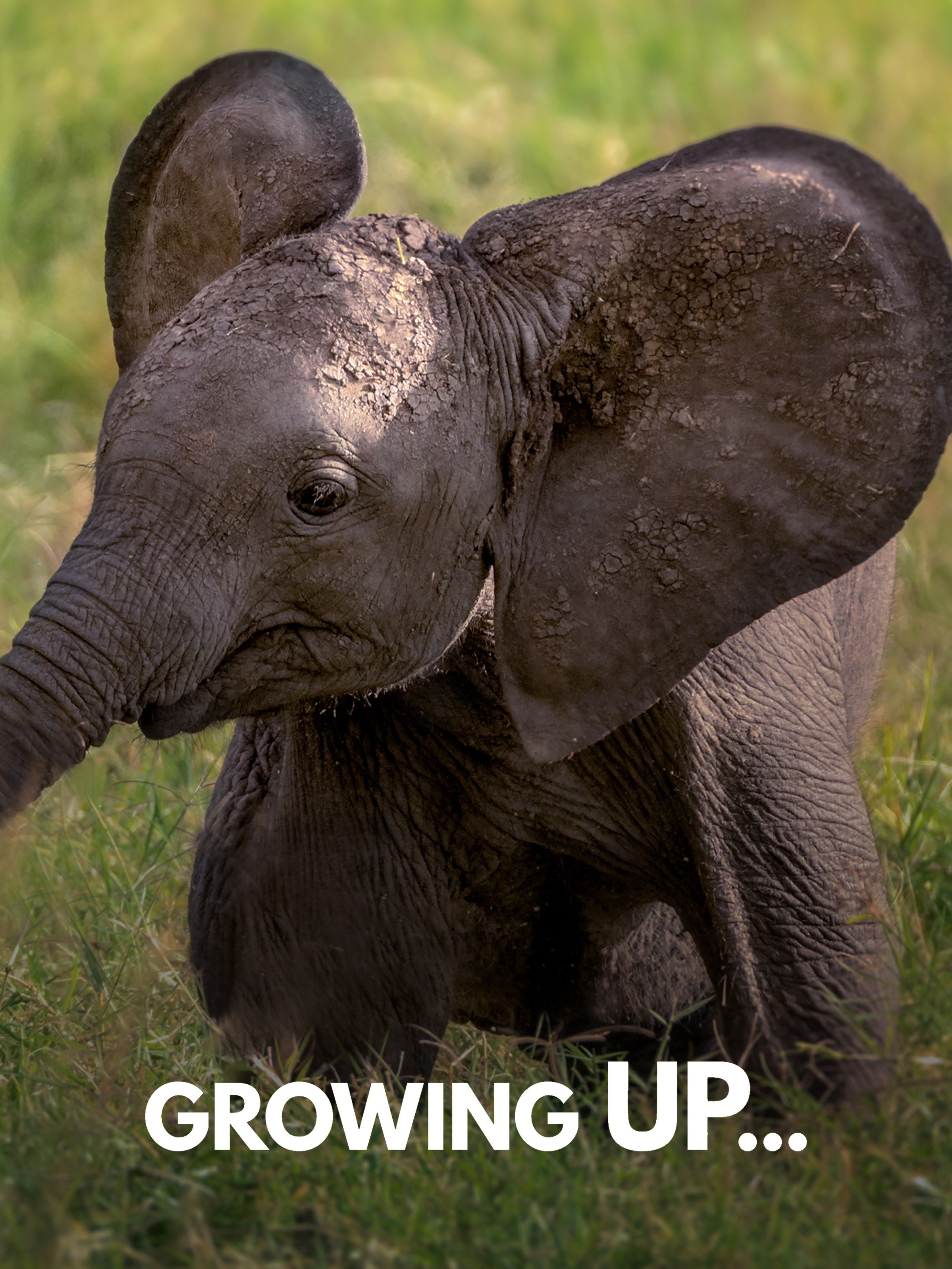Growing Up ... - Rotten Tomatoes