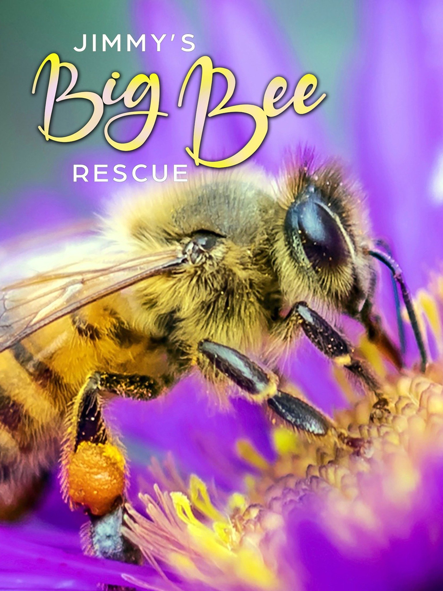 Jimmy's Big Bee Rescue - Rotten Tomatoes