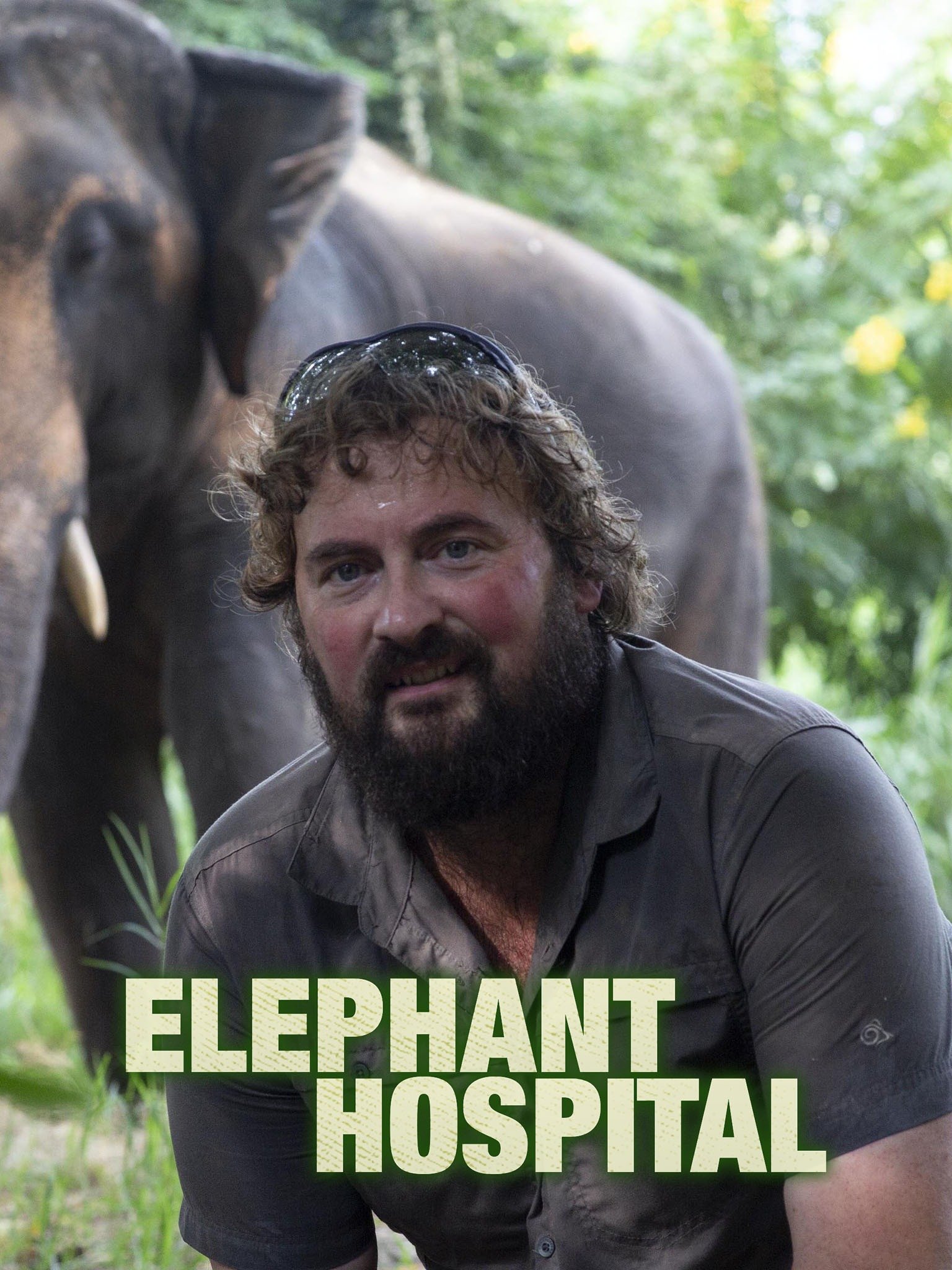 Elephant Hospital - Rotten Tomatoes