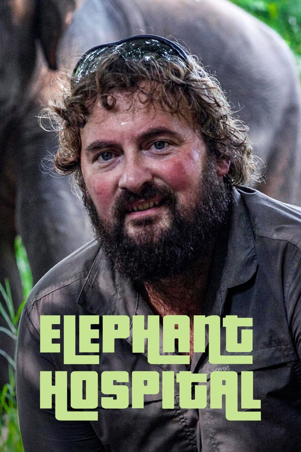 Elephant Hospital - Rotten Tomatoes