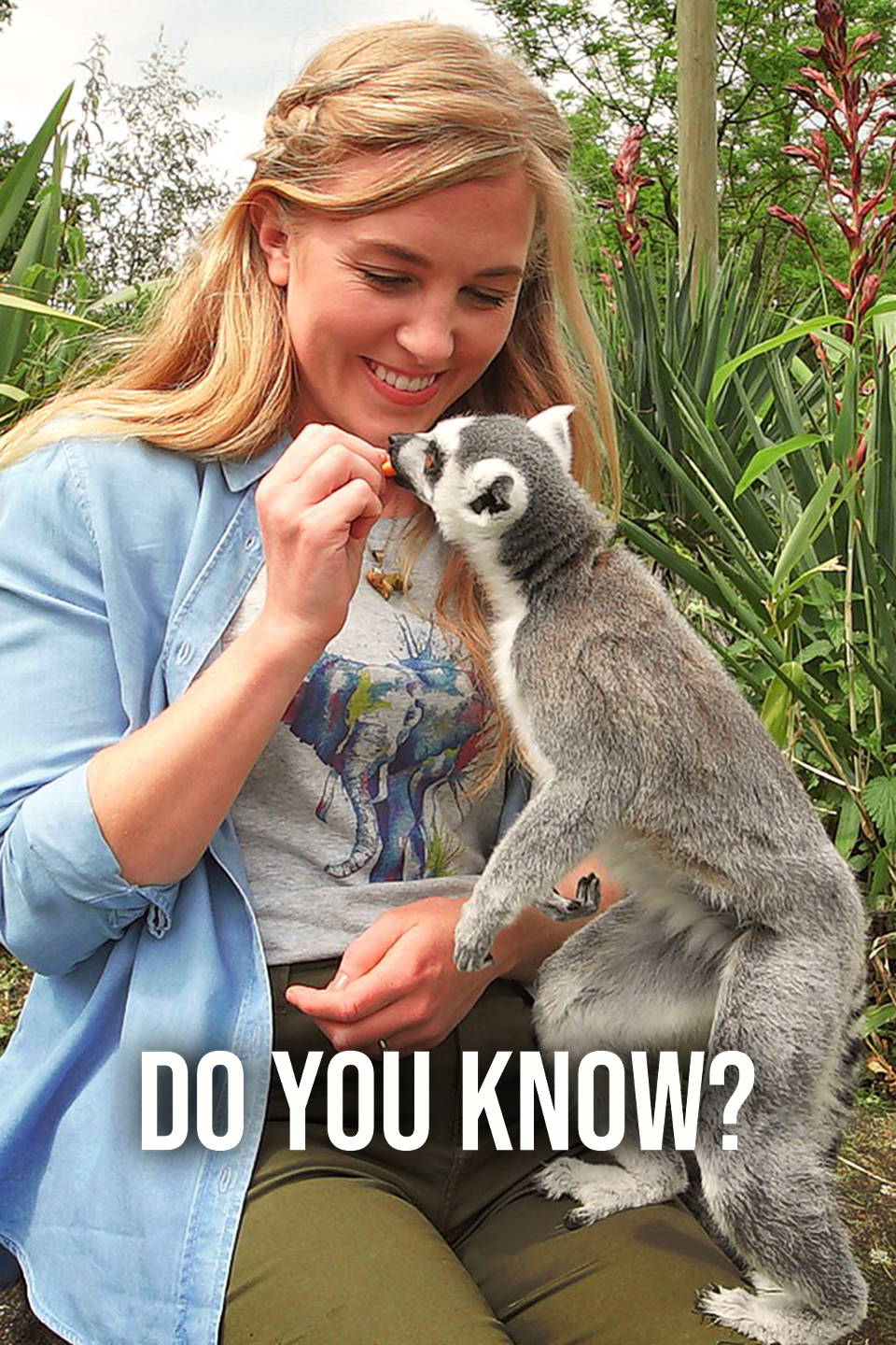 Do You Know? - Rotten Tomatoes