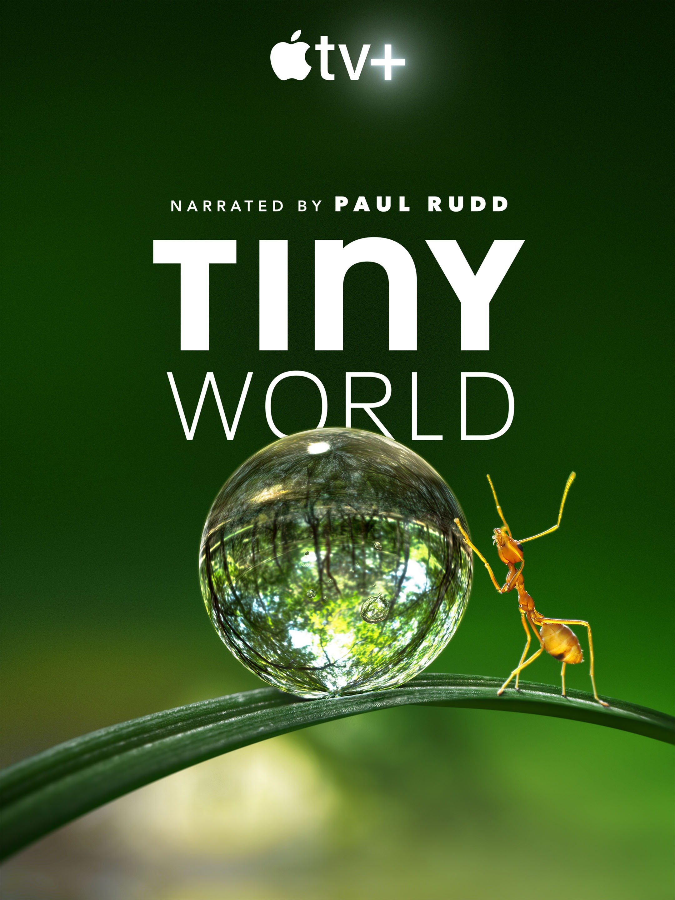 Tiny World - Rotten Tomatoes