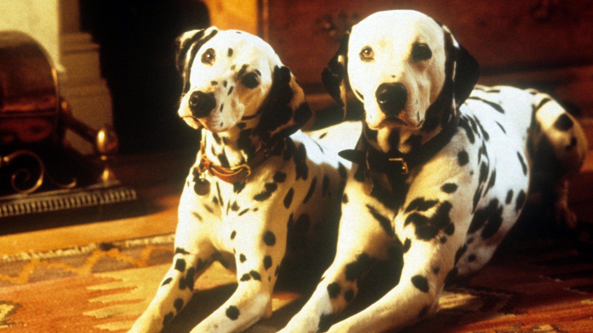 101 Dalmatians: Trailer 1 - Trailers & Videos - Rotten Tomatoes
