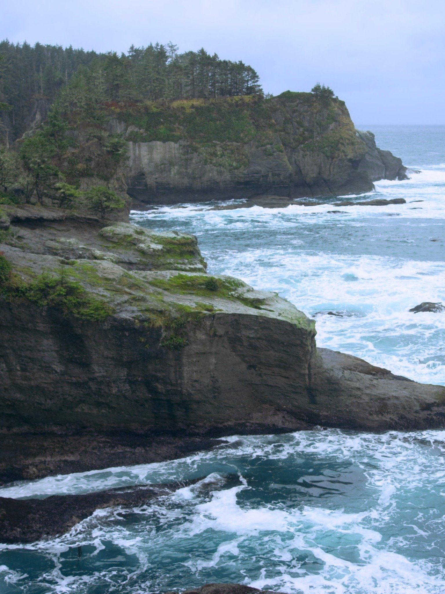 Soak Up the Stillness of a Pacific Northwest Beach Pictures - Rotten ...