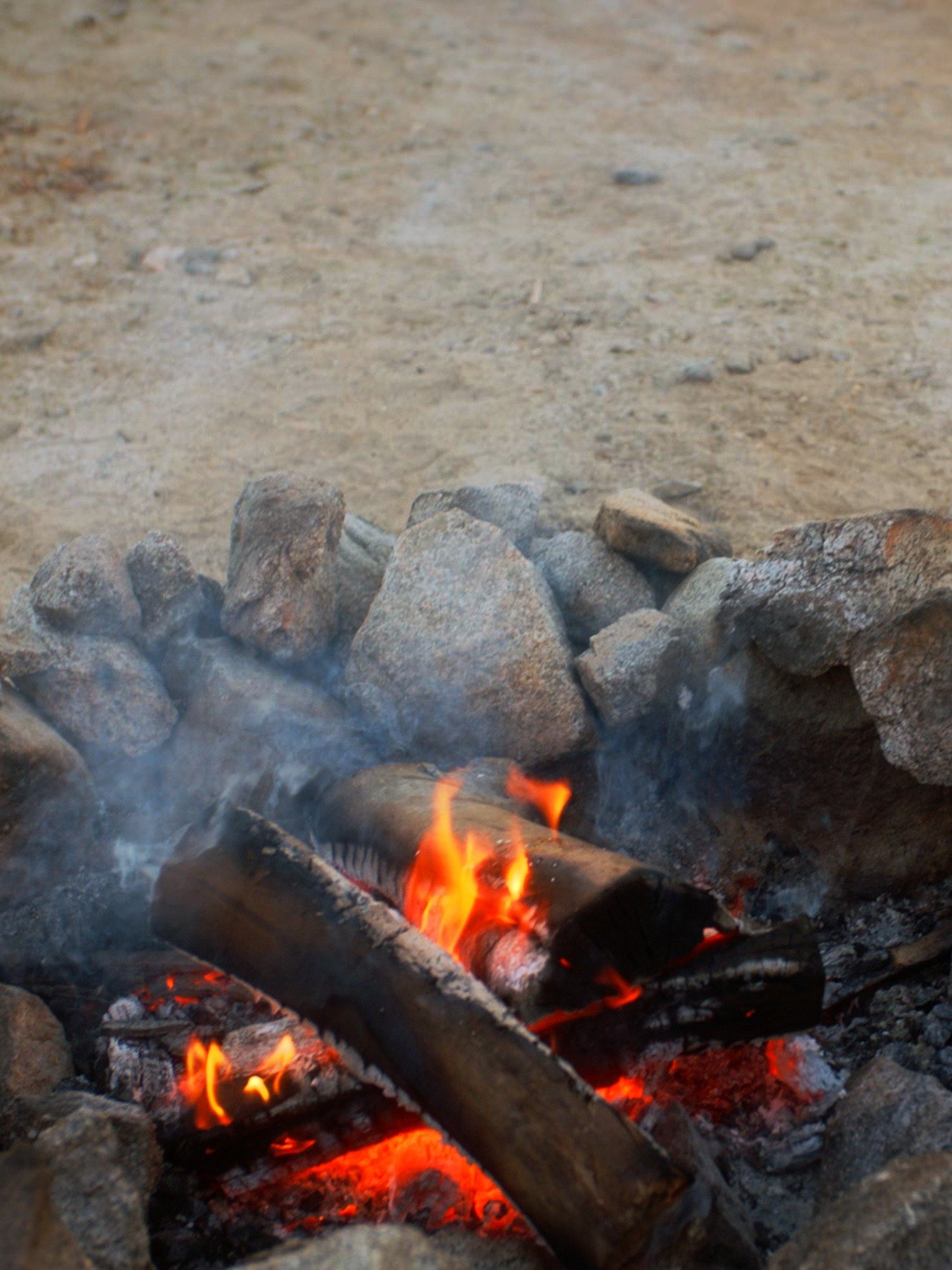 This Campfire Will Relax You Pictures - Rotten Tomatoes