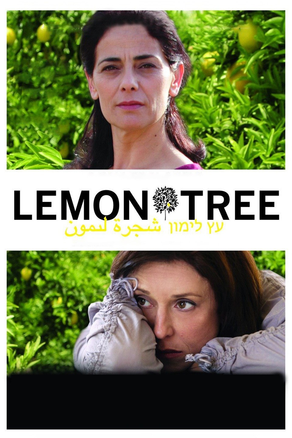 Lemon Tree - Rotten Tomatoes