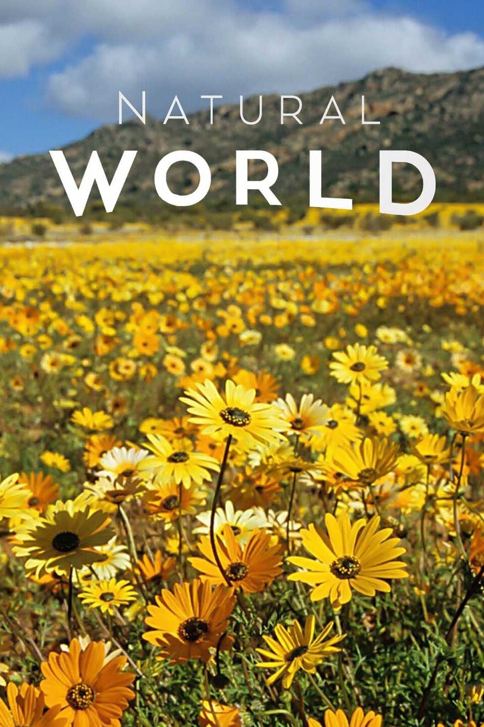 Natural World - Rotten Tomatoes