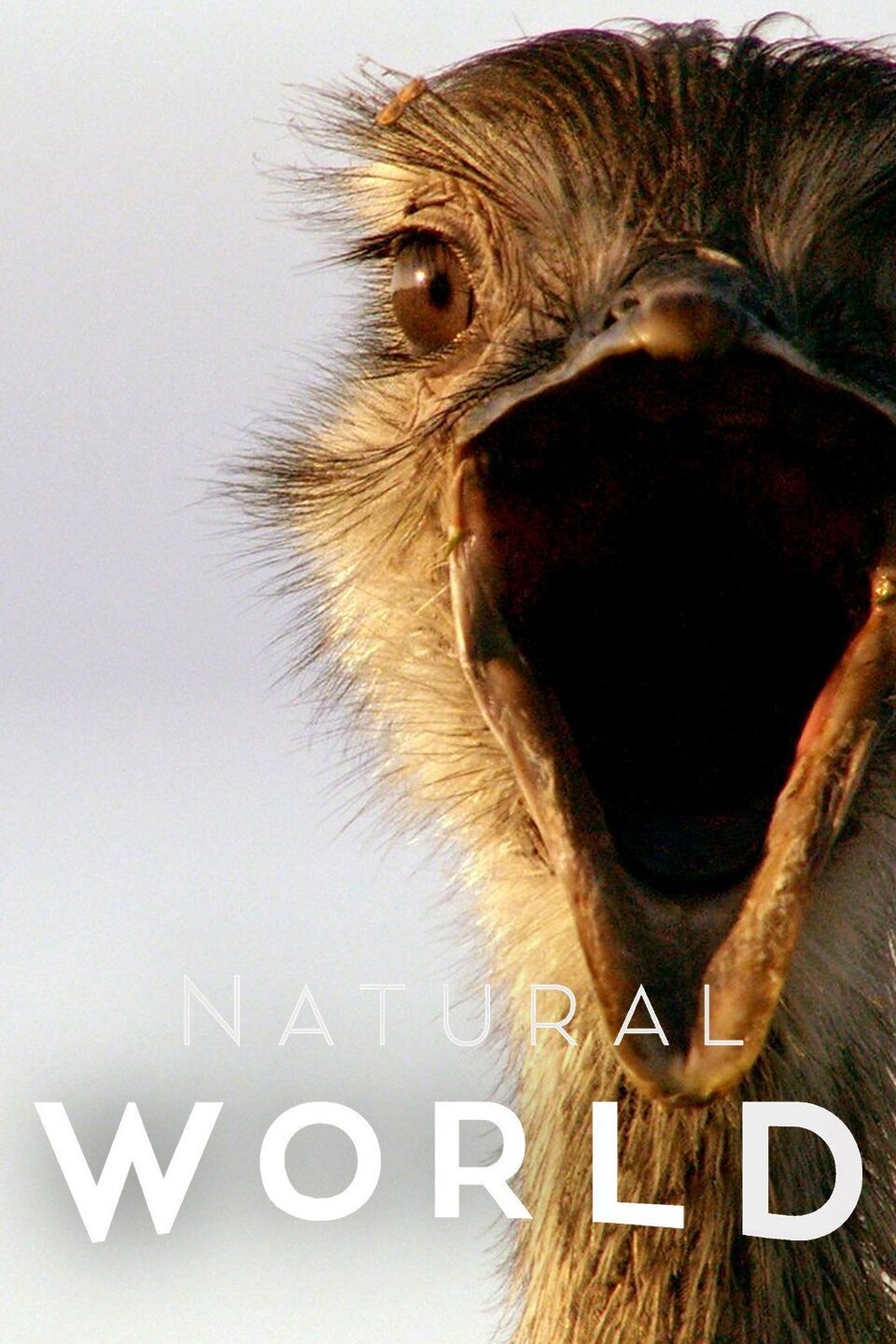 Natural World - Rotten Tomatoes