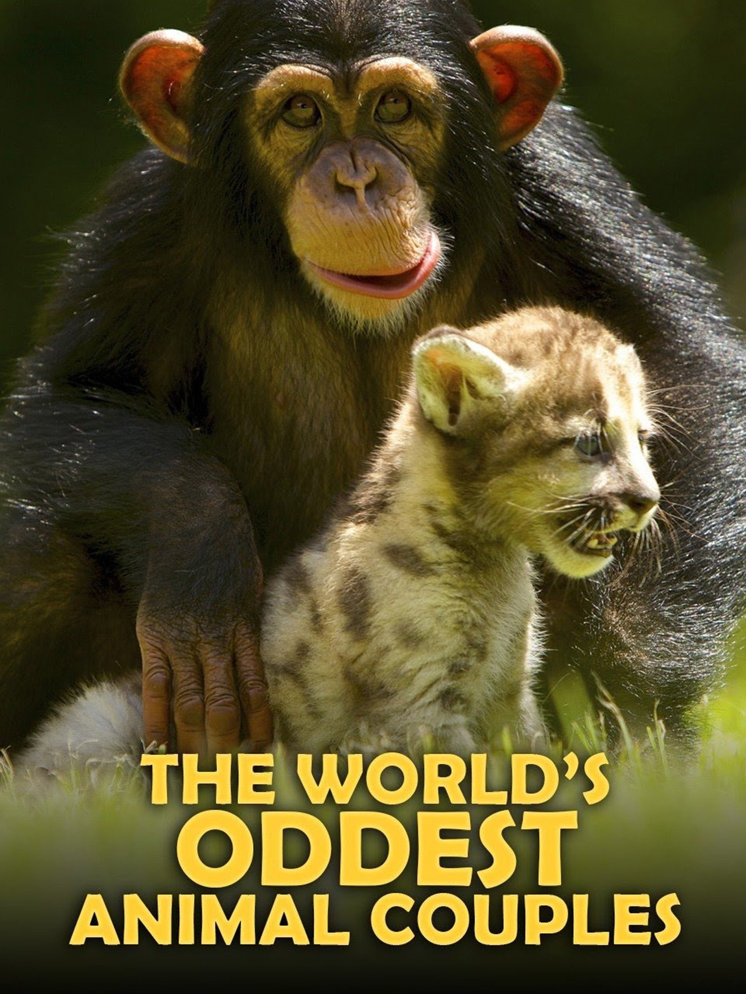 The World's Oddest Animal Couples - Rotten Tomatoes