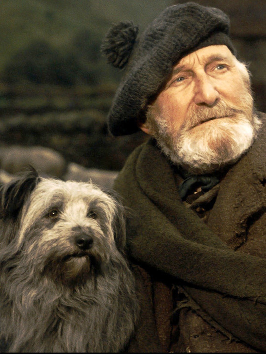 - Trailers & Videos - Rotten Tomatoes