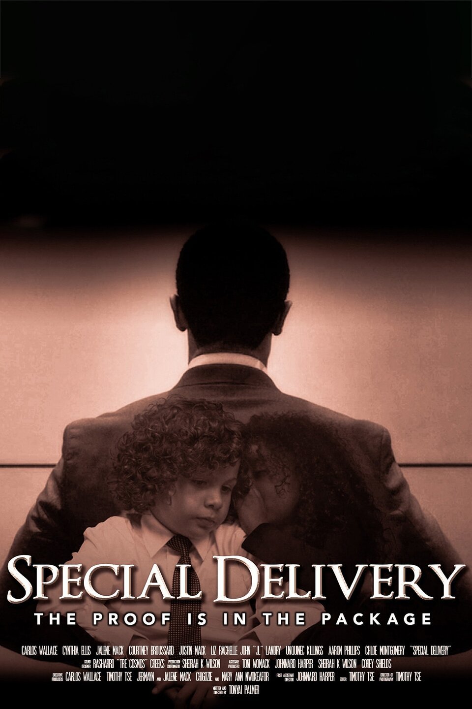 Special Delivery: The Package - Rotten Tomatoes