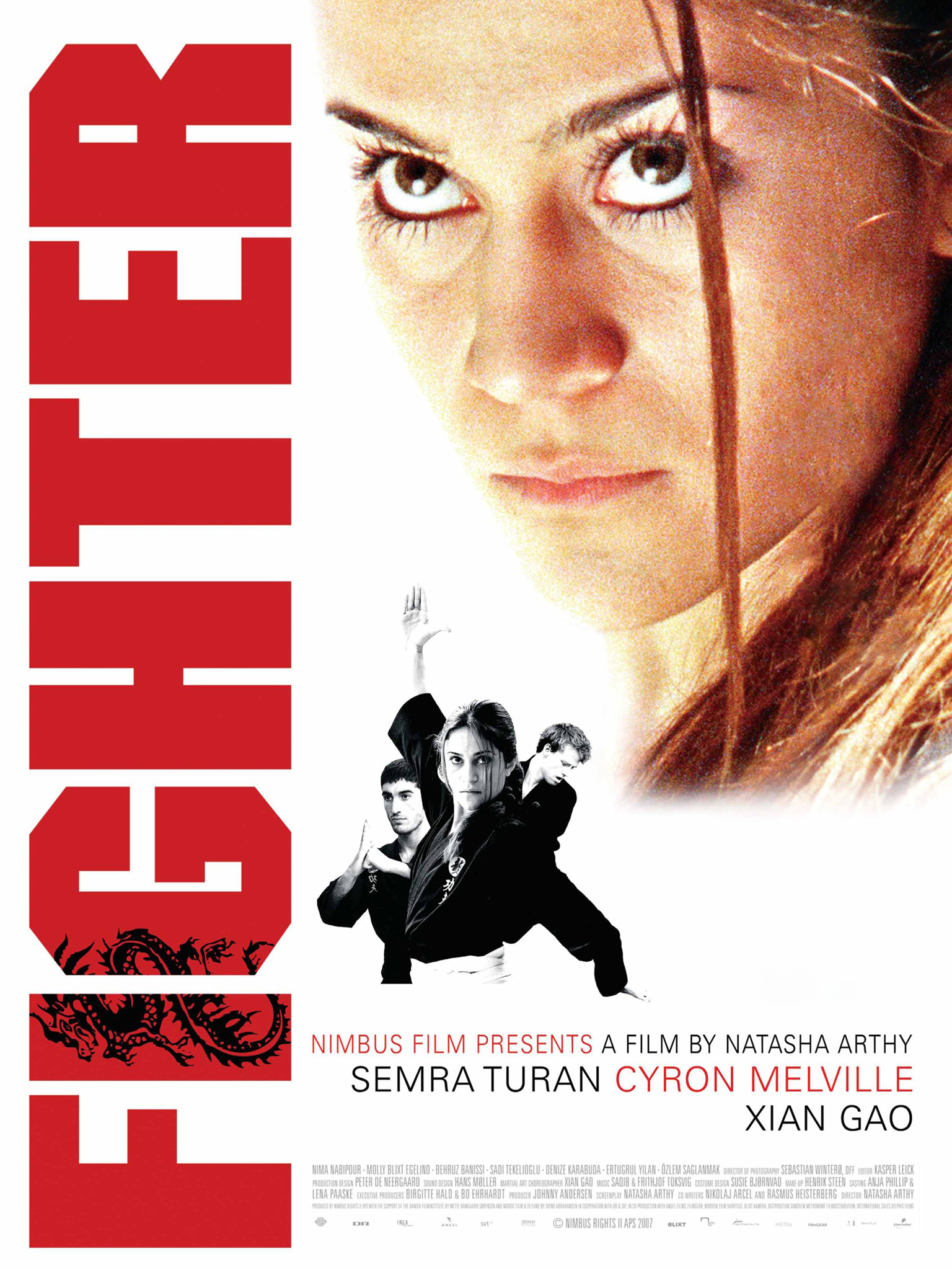 Fighter - Rotten Tomatoes