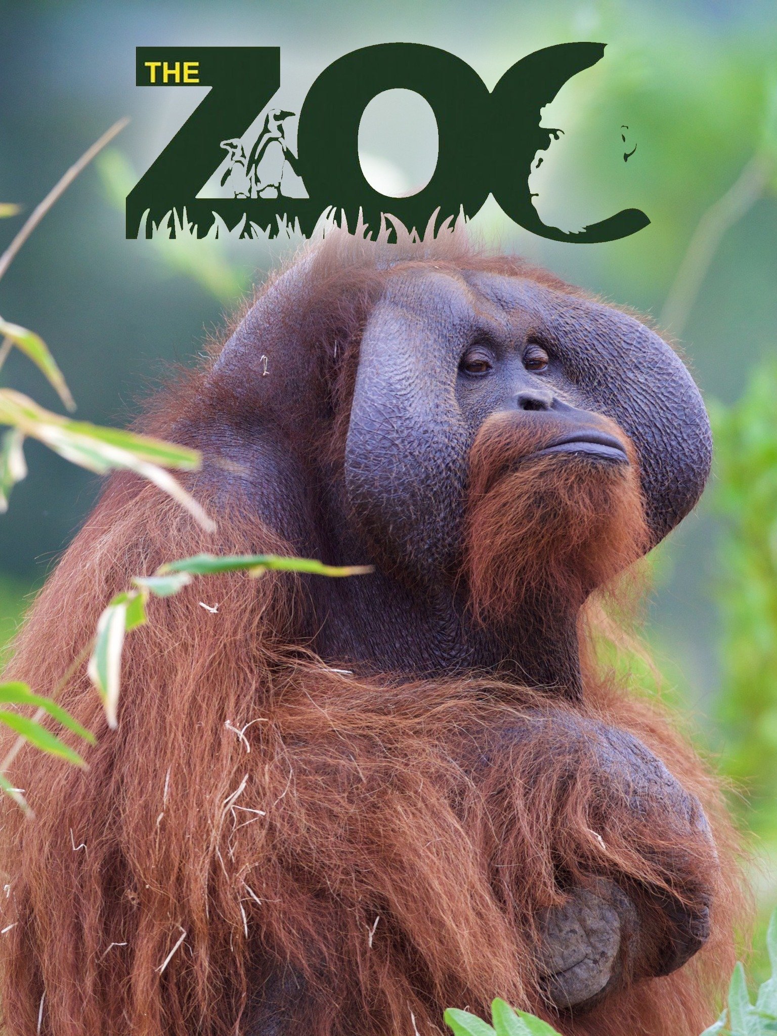 The Zoo - Rotten Tomatoes