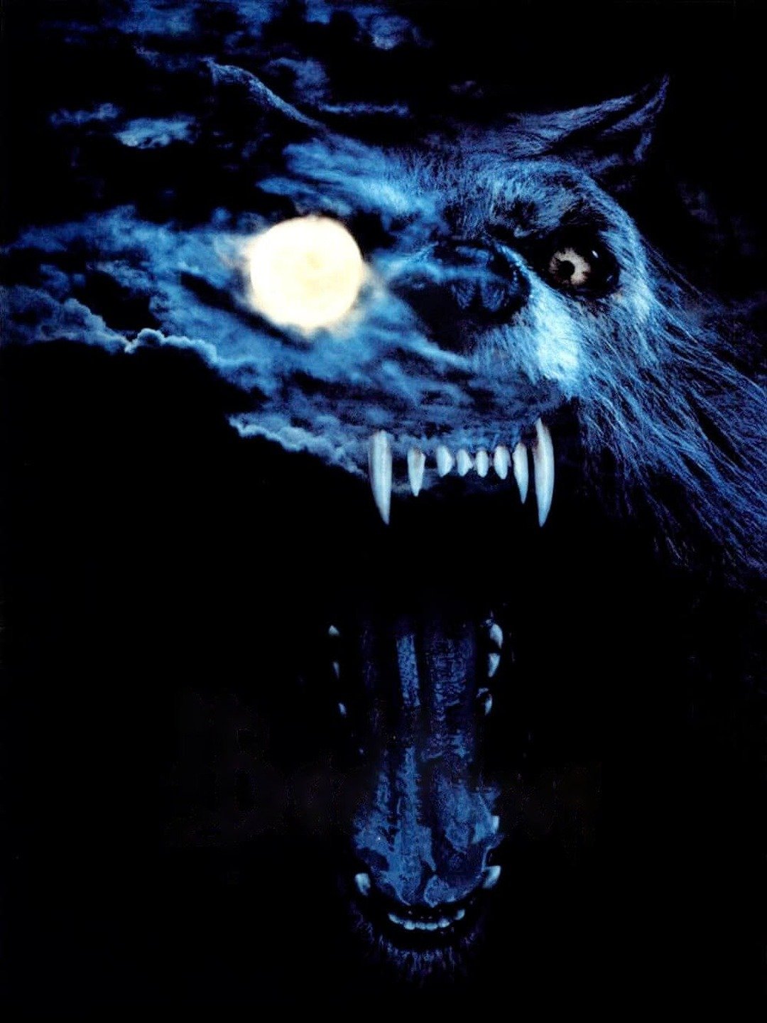 Bad Moon Werewolf Costume