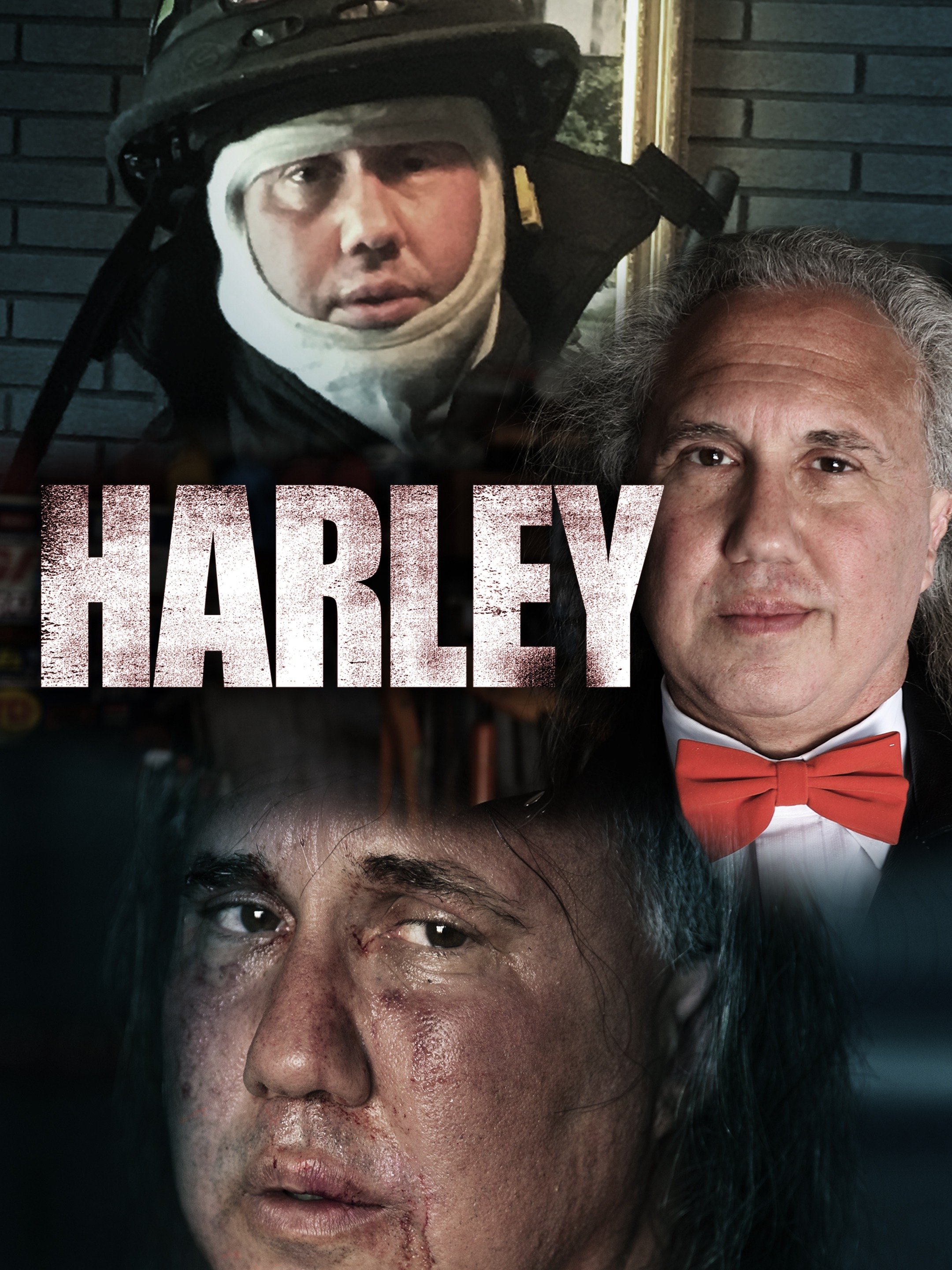 Harley Pictures - Rotten Tomatoes