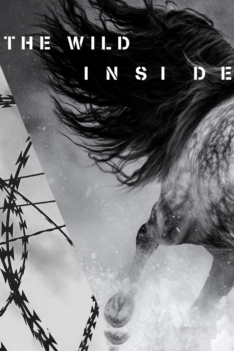 The Wild Inside - Rotten Tomatoes