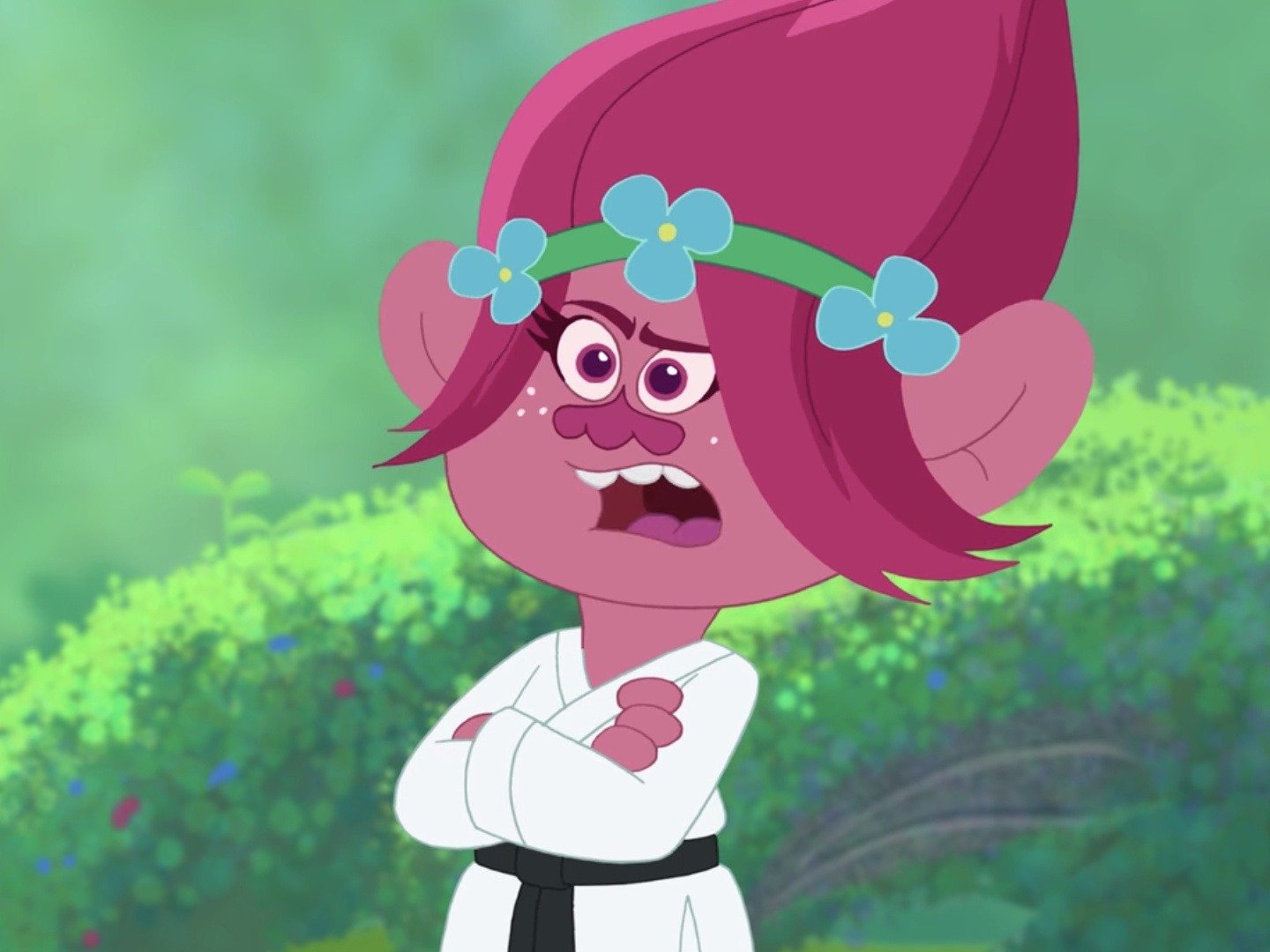 One Piece Episode 508