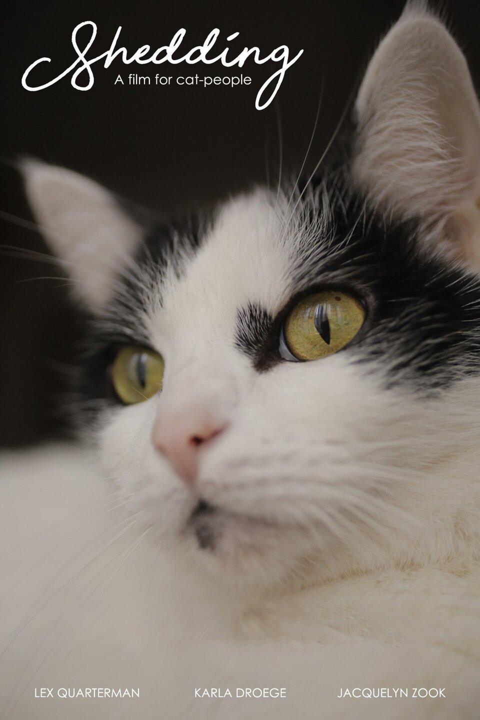 Shedding Pictures - Rotten Tomatoes