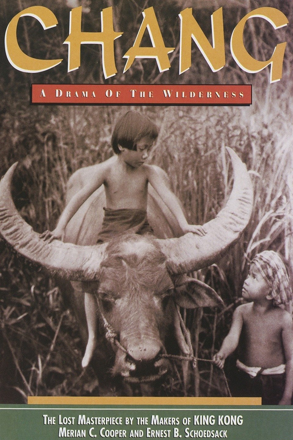 Chang - Rotten Tomatoes