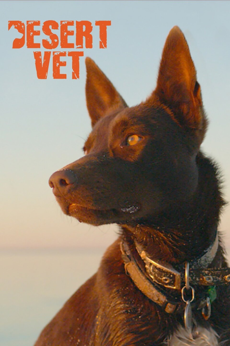 Desert Vet - Rotten Tomatoes