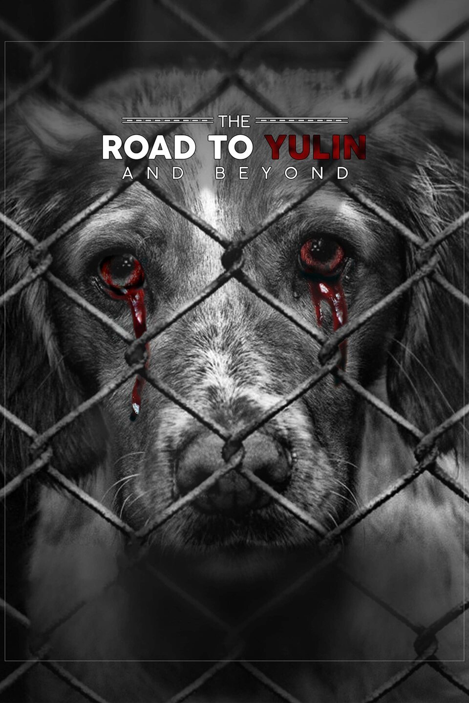 The Road to Yulin and Beyond - Rotten Tomatoes