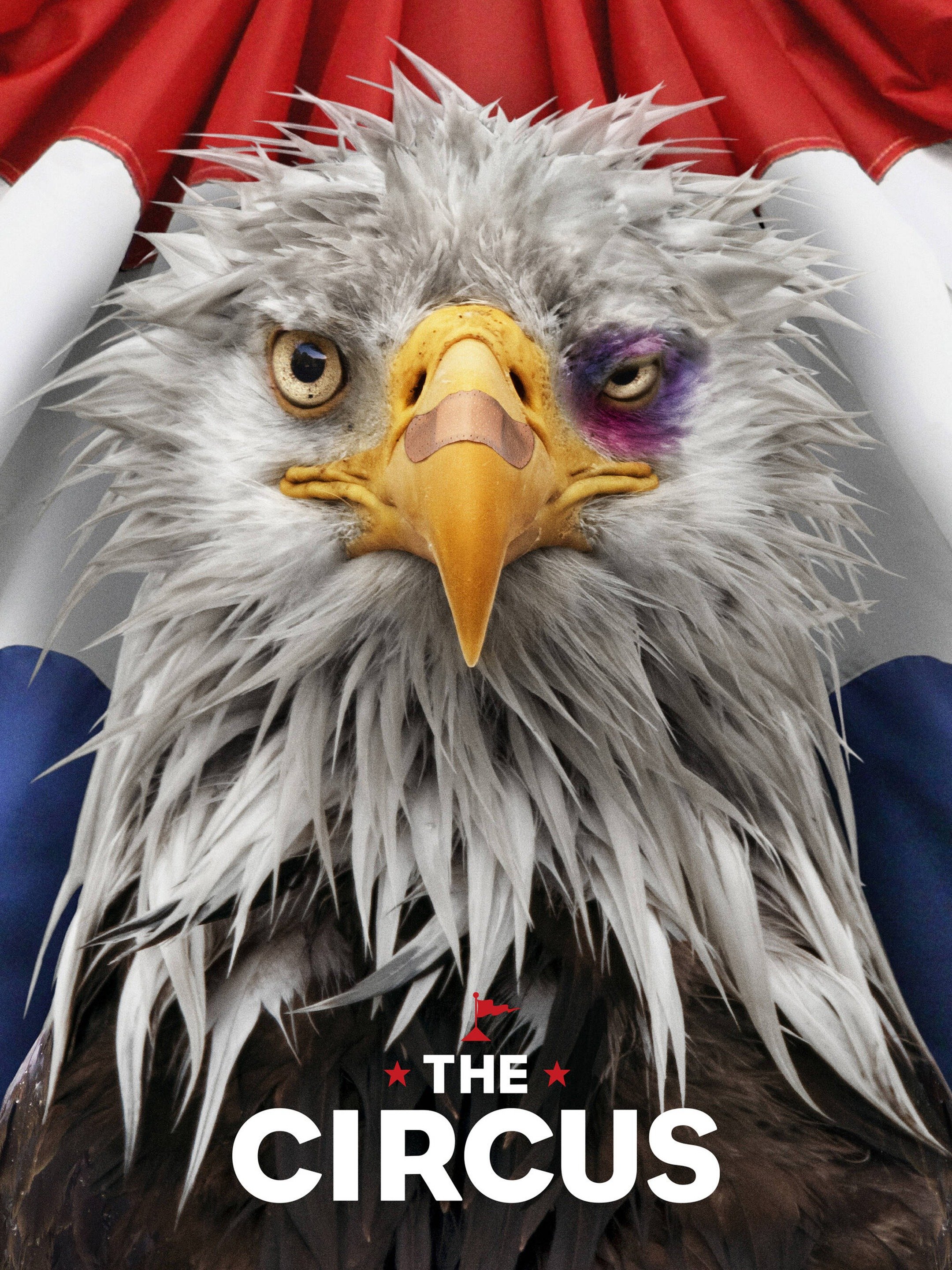 The Circus: Inside the Greatest Political Show on Earth - Rotten Tomatoes