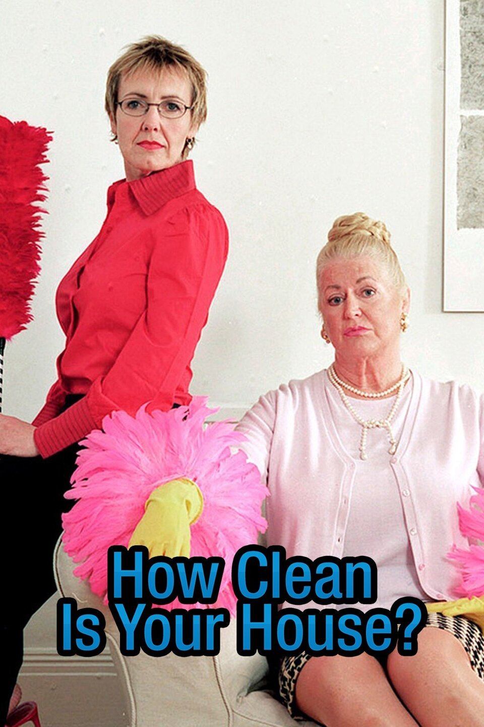 How Clean Is Your House? - Rotten Tomatoes