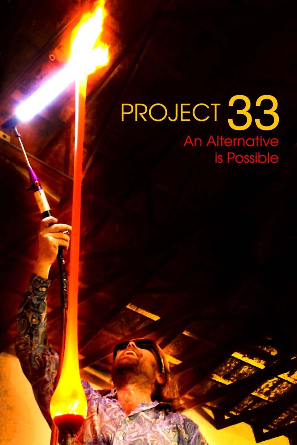 Project 33: An Alternative Is Possible Pictures - Rotten Tomatoes