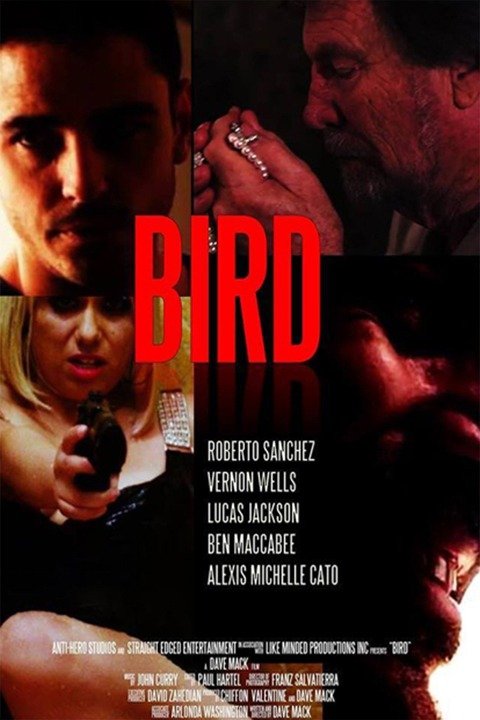 Bird - Rotten Tomatoes