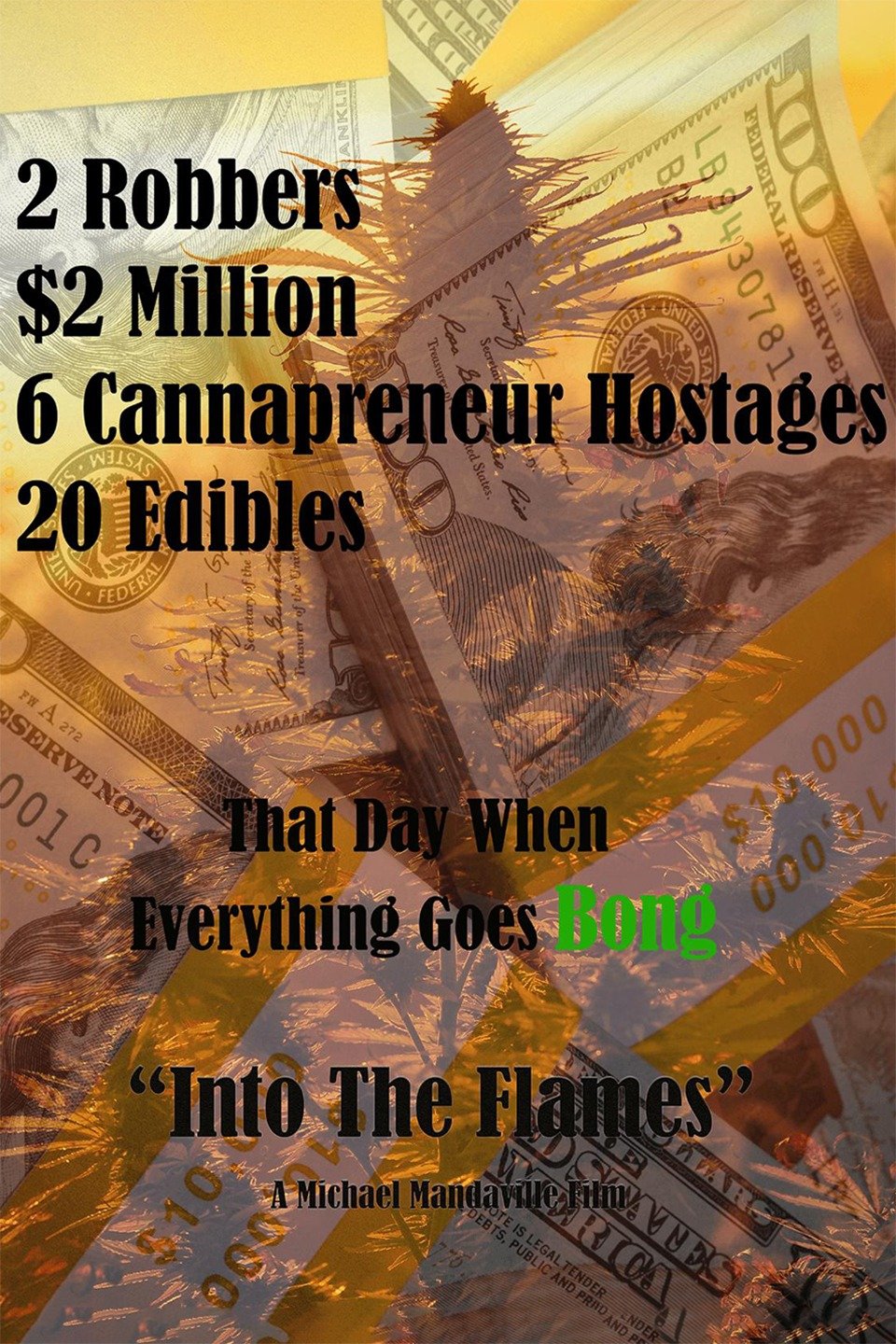 Into the Flames Pictures - Rotten Tomatoes