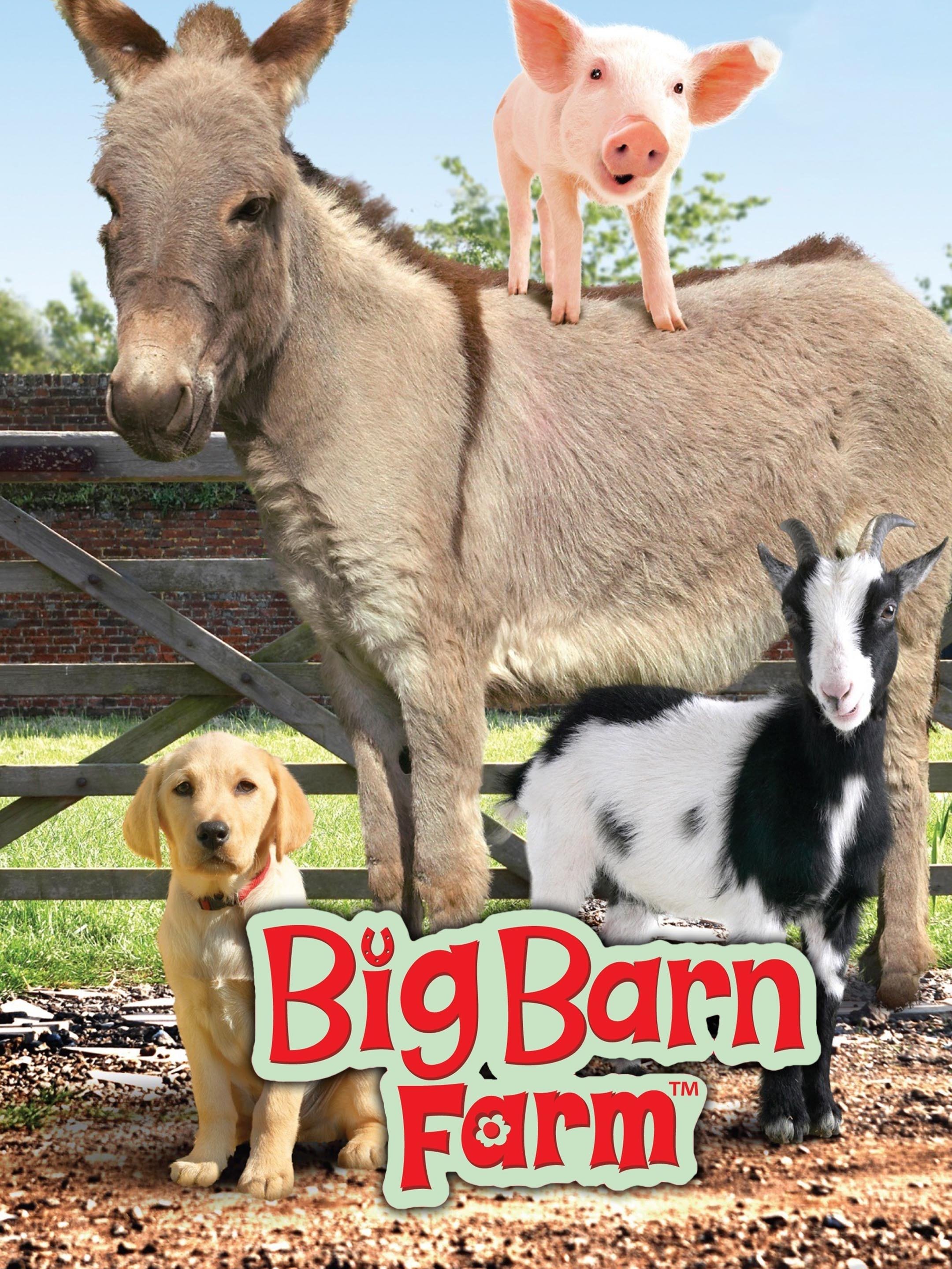 Big Barn Farm - Rotten Tomatoes