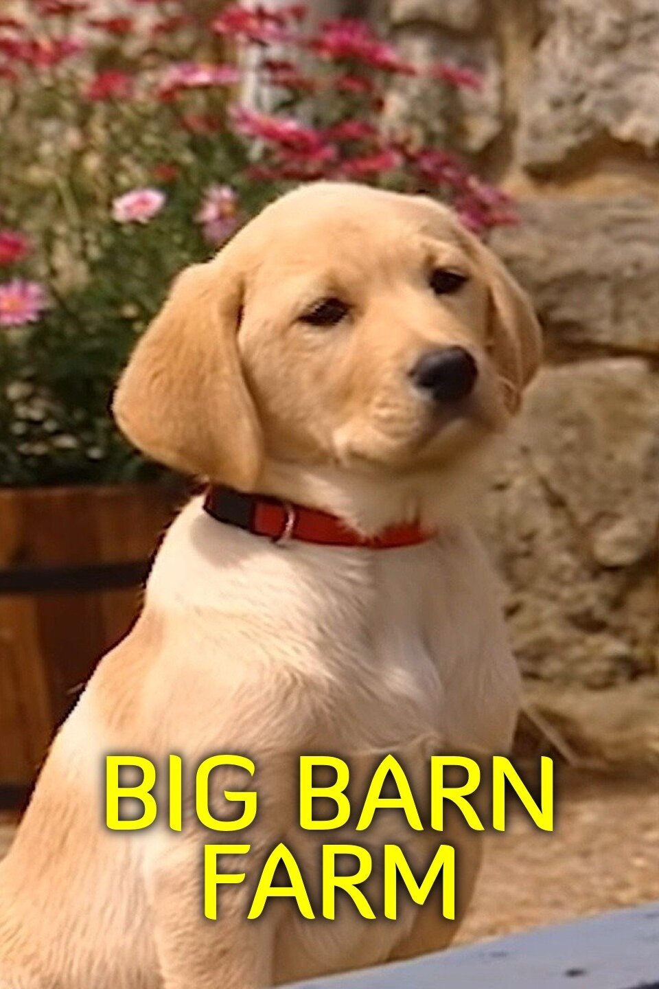 Big Barn Farm - Rotten Tomatoes